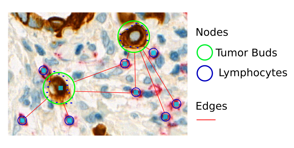 BTS-Project - iCoSys